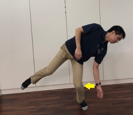 膝内側側副靭帯損傷：膝の内側が痛い | AR-Ex 尾山台整形外科